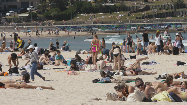 Conquering Skin Cancer (Australia) - Comprehensive Education Tool Kit ...